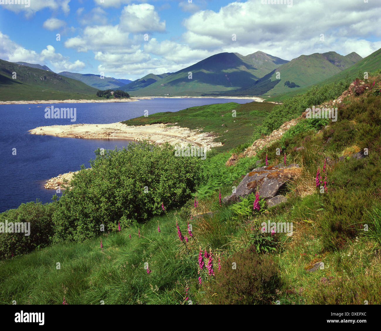 Loch of clunie hi-res stock photography and images - Alamy