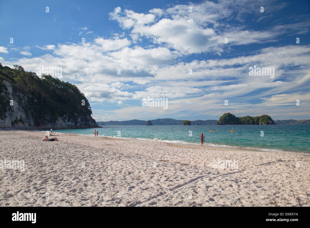 Hahei beach, Coromandel Peninsula, North Island, New Zealand Stock Photo - Alamy
