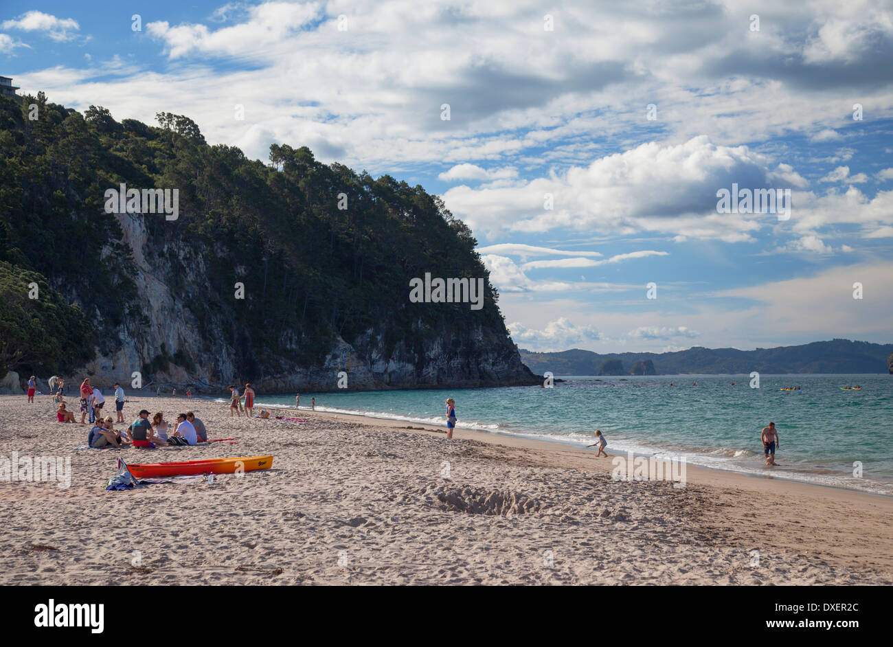 Hahei beach new zealand hi-res stock photography and images - Alamy