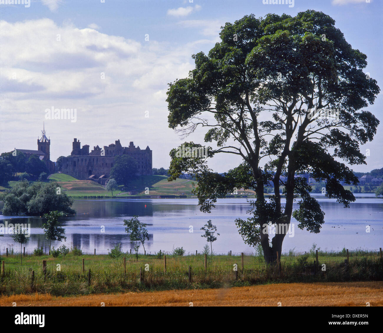 Summer view across Linlithgow loch towards the palace of Linlithgow ...