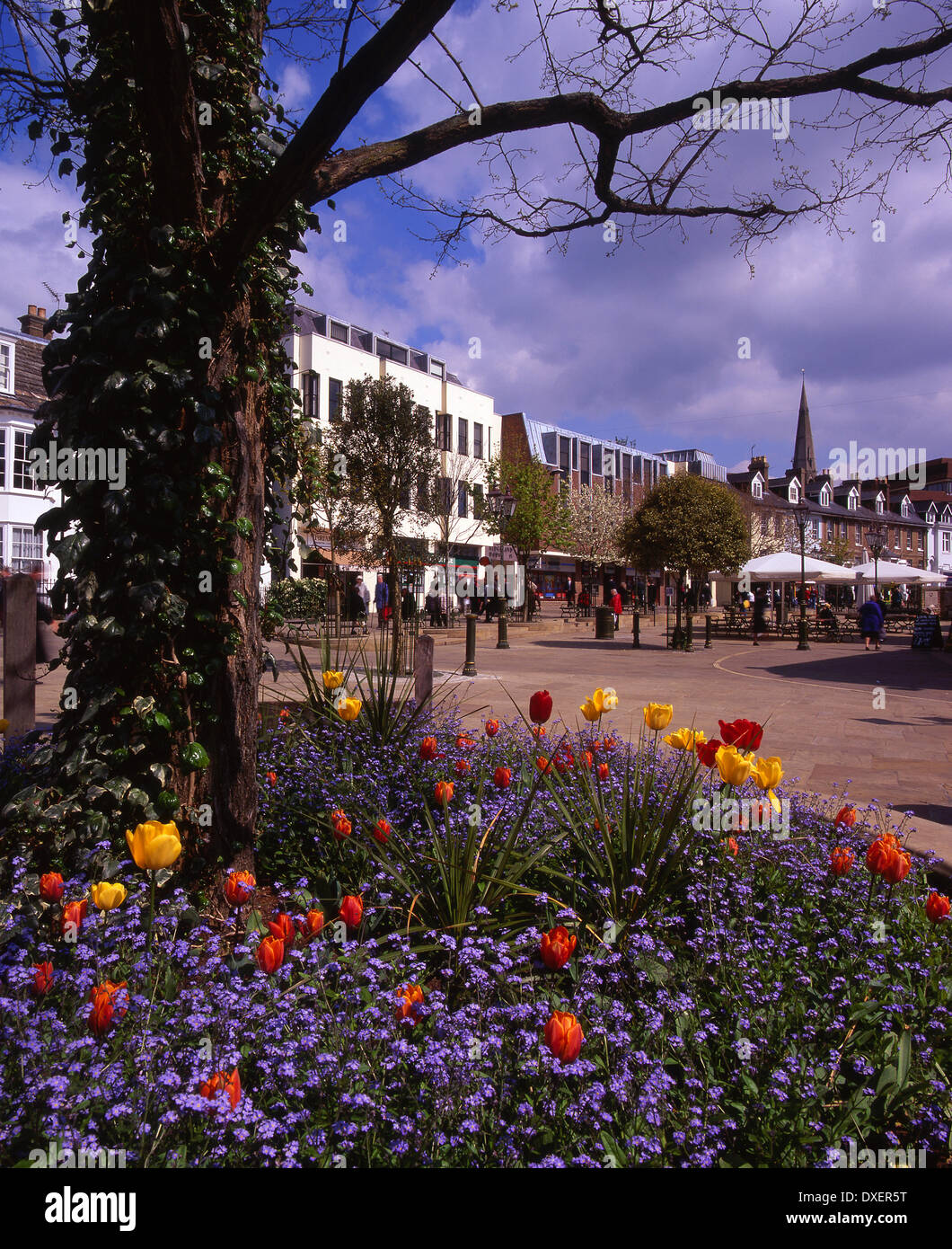 Summer scene in Horsham, Susses, England Stock Photo - Alamy