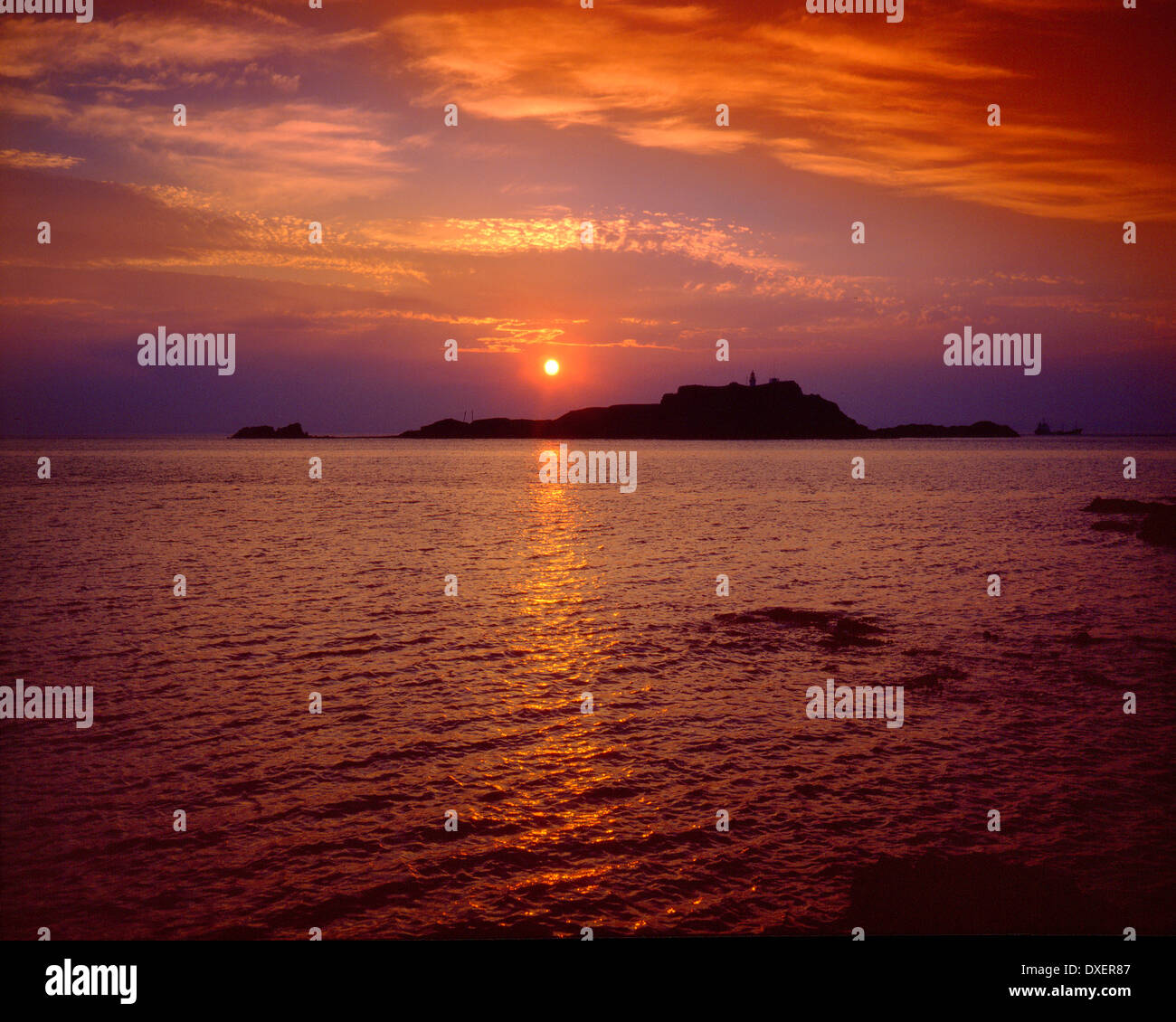 Yellowcraig High Resolution Stock Photography and Images - Alamy