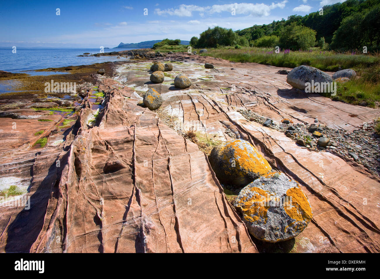 Tertiary hi-res stock photography and images - Alamy