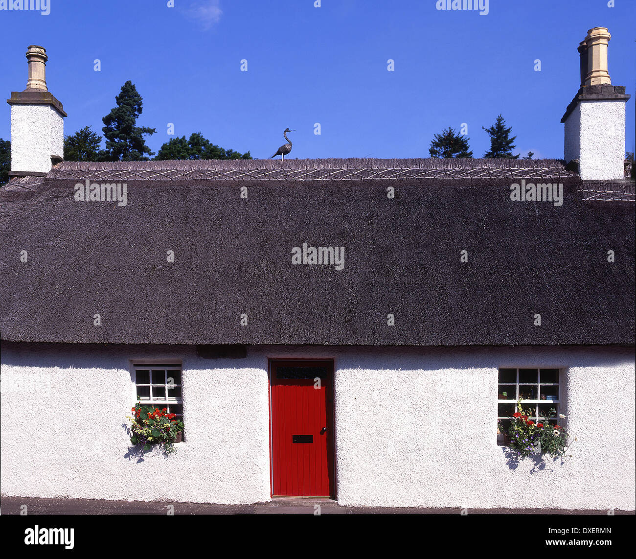 Thatched Cottage in Glamis, Angus Stock Photo - Alamy