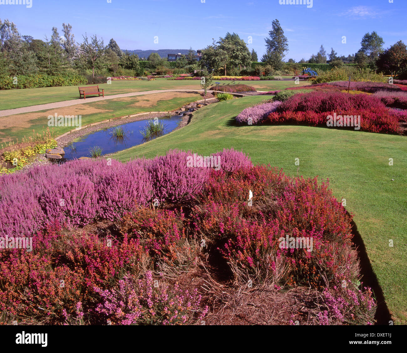 Perth town centre scotland hi-res stock photography and images - Alamy
