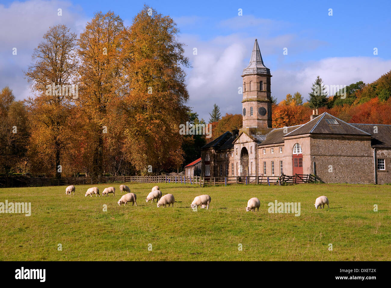 Stable building hi-res stock photography and images - Alamy