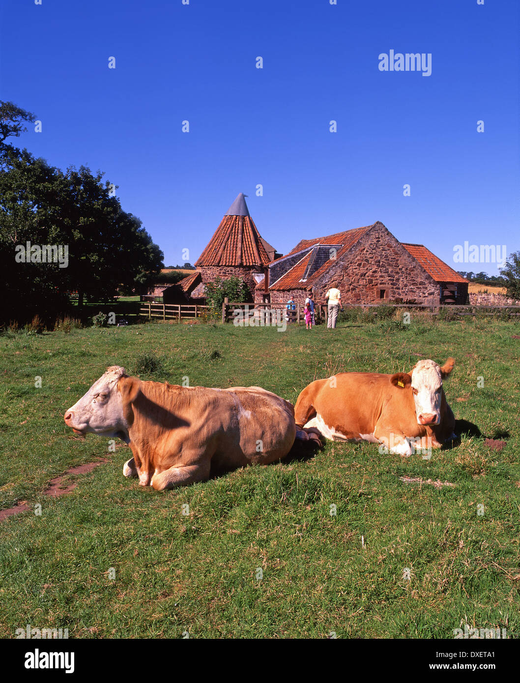 Linton s hi-res stock photography and images - Alamy