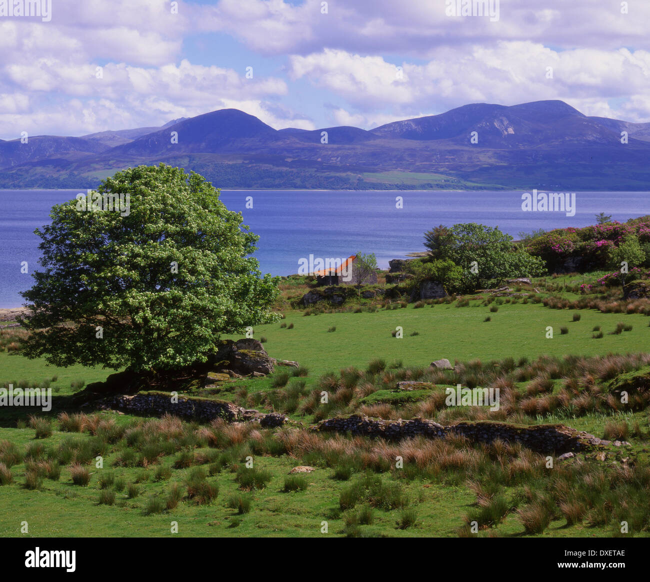 The island of Arran as seen from kintyre,Argyll Stock Photo - Alamy