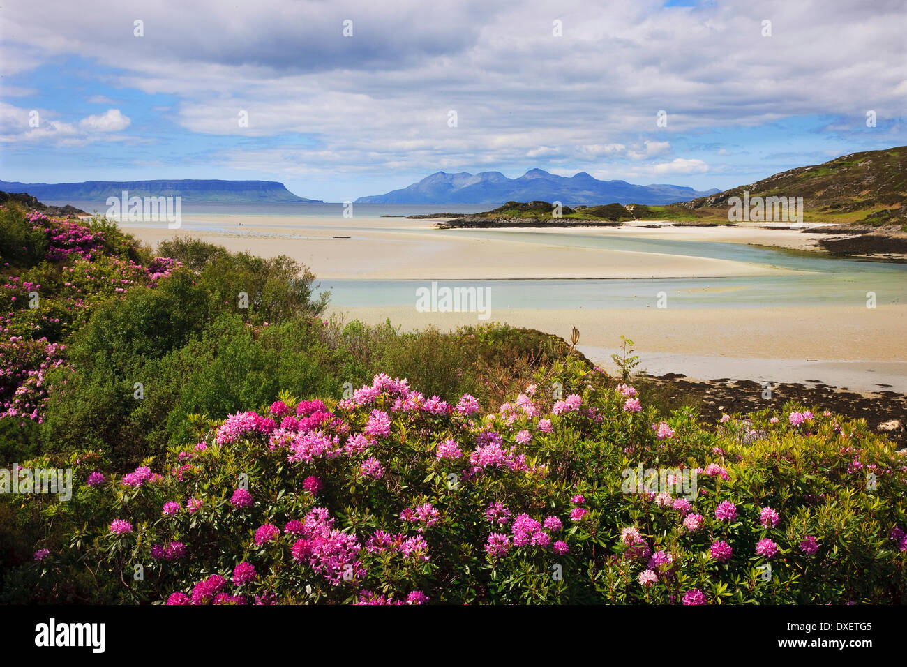 Springtime view towards the islands of Eigg and Rhum from Morar sands ...