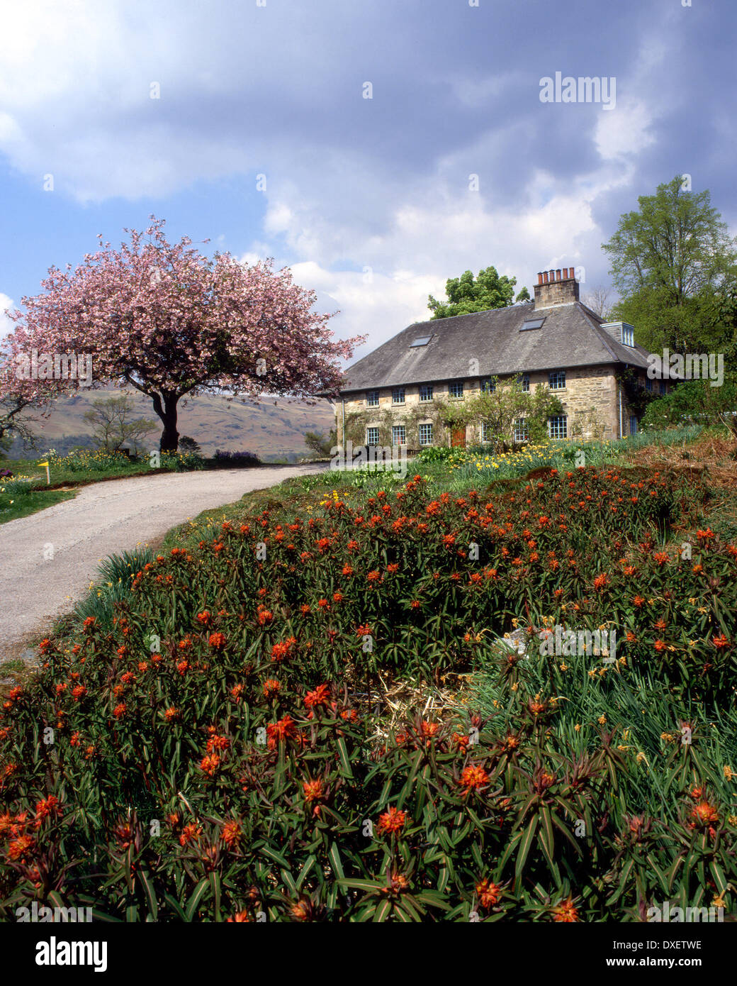 Strone garden cottage at the eastern end of Loch Fyne Argyll Stock ...