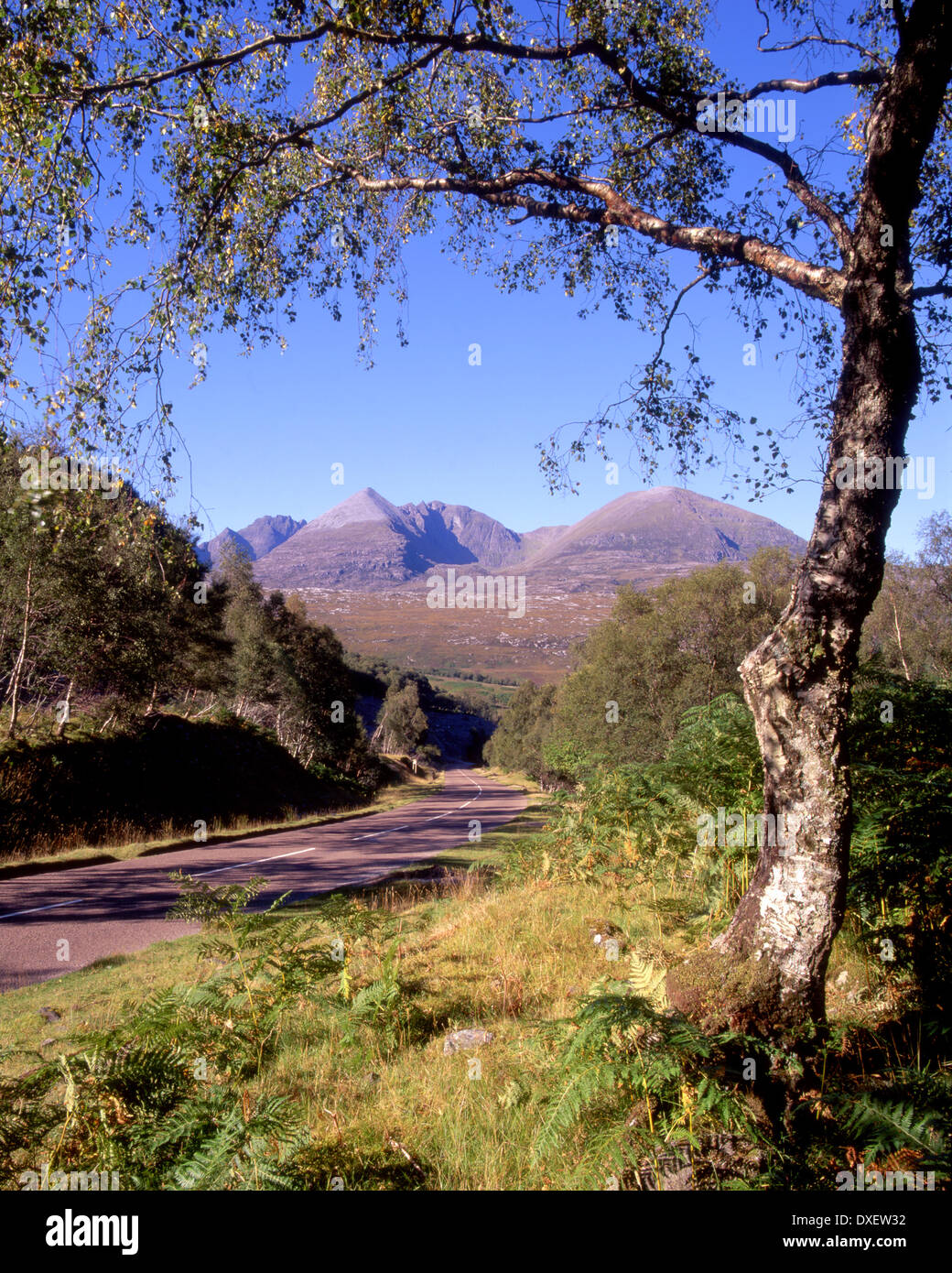 From a832 hi-res stock photography and images - Alamy