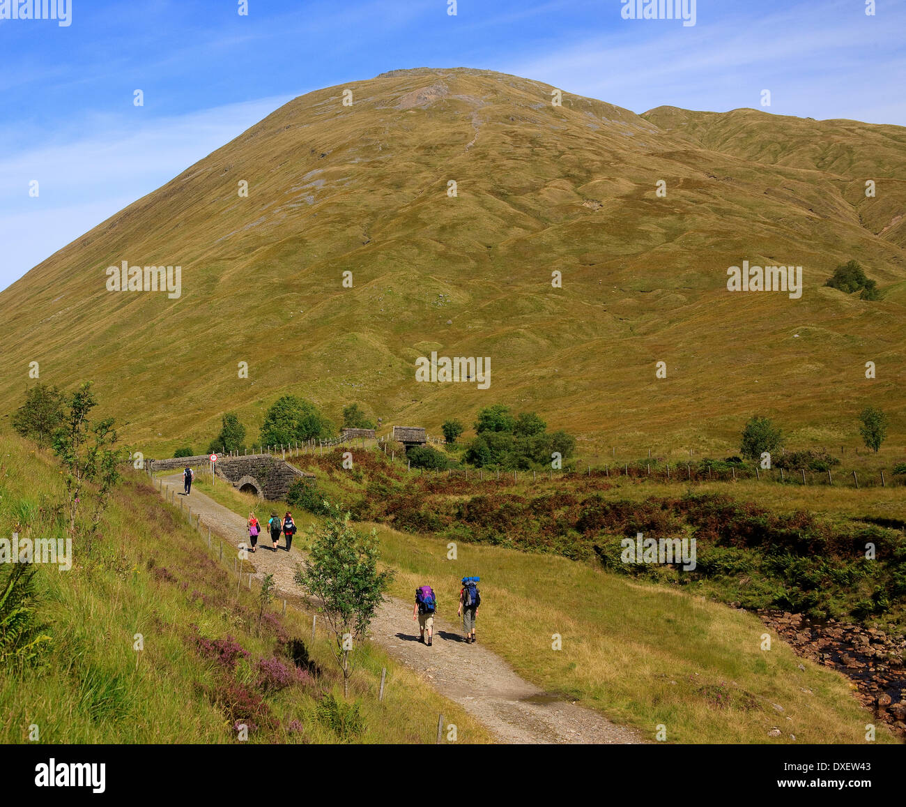 Walking the west highland way between tyndrum and bridge of orchy.West ...