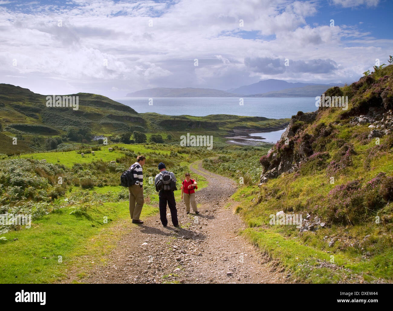 Island of kerrera hi-res stock photography and images - Alamy