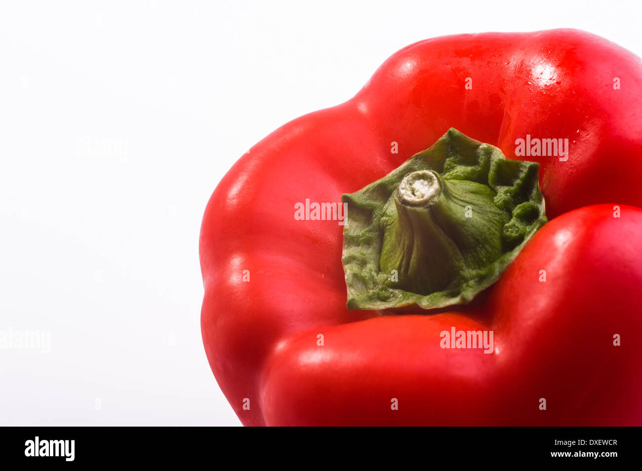 Capsicum annuum red hi-res stock photography and images - Alamy