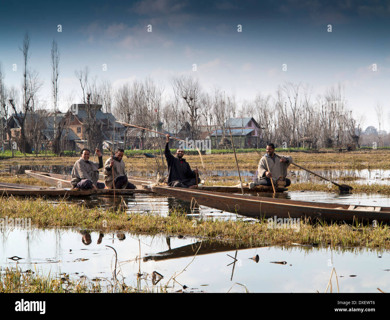 India Root Vegetables High Resolution Stock Photography and Images - Alamy
