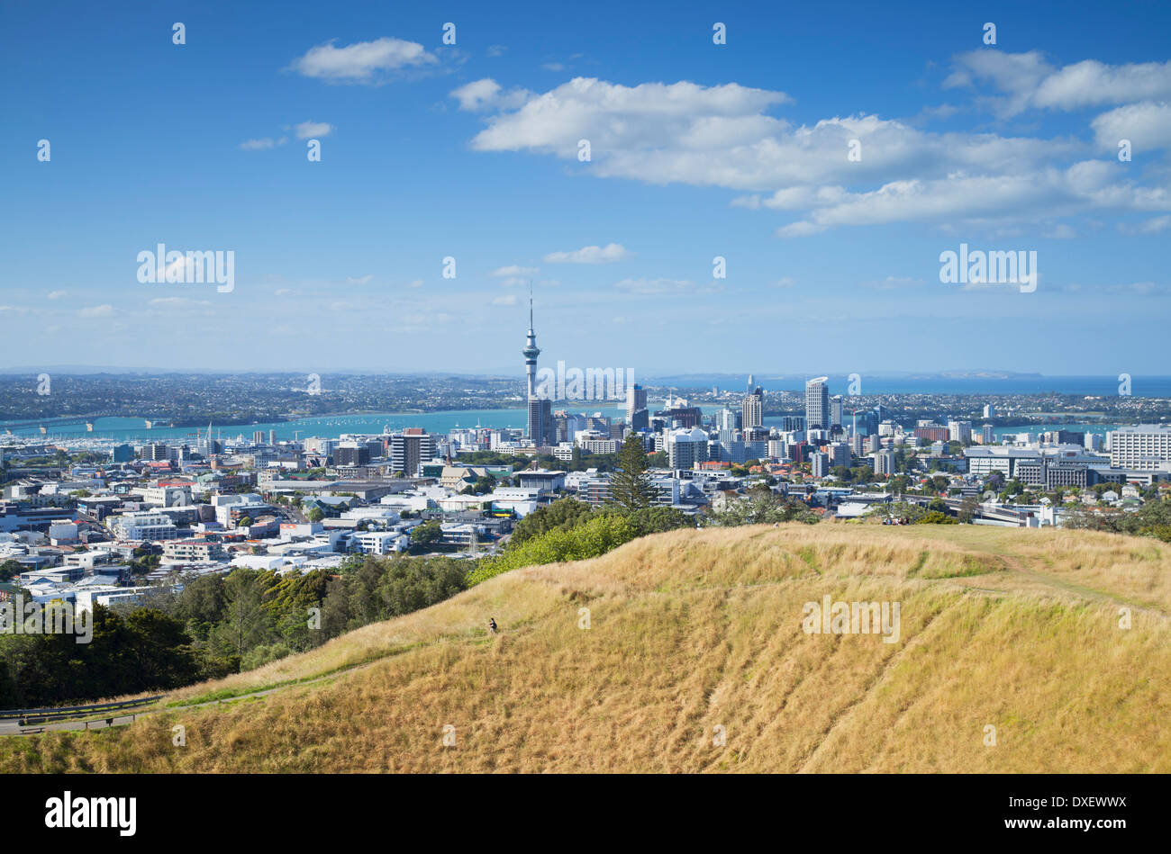 View of Auckland from Mount Eden, Auckland, North Island, New Zealand ...
