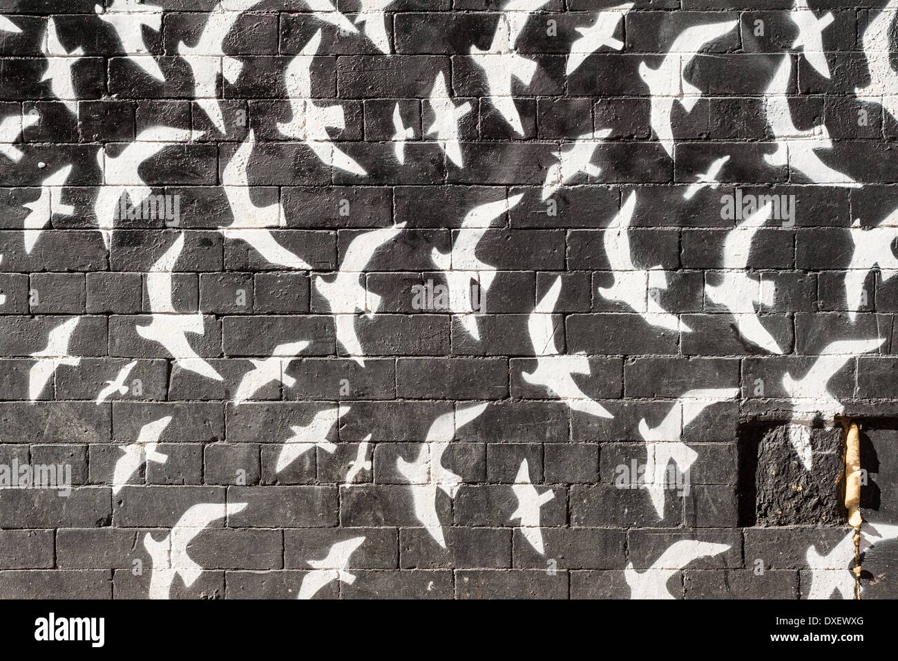 Birds on graffiti wall from manchesters hi-res stock photography and ...