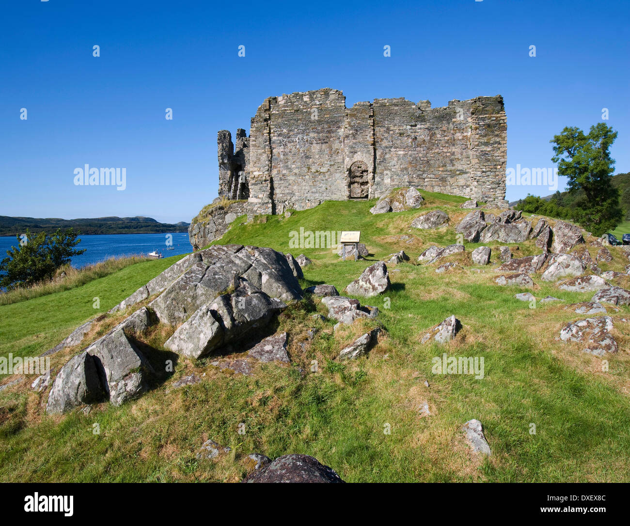 Sween hi-res stock photography and images - Alamy