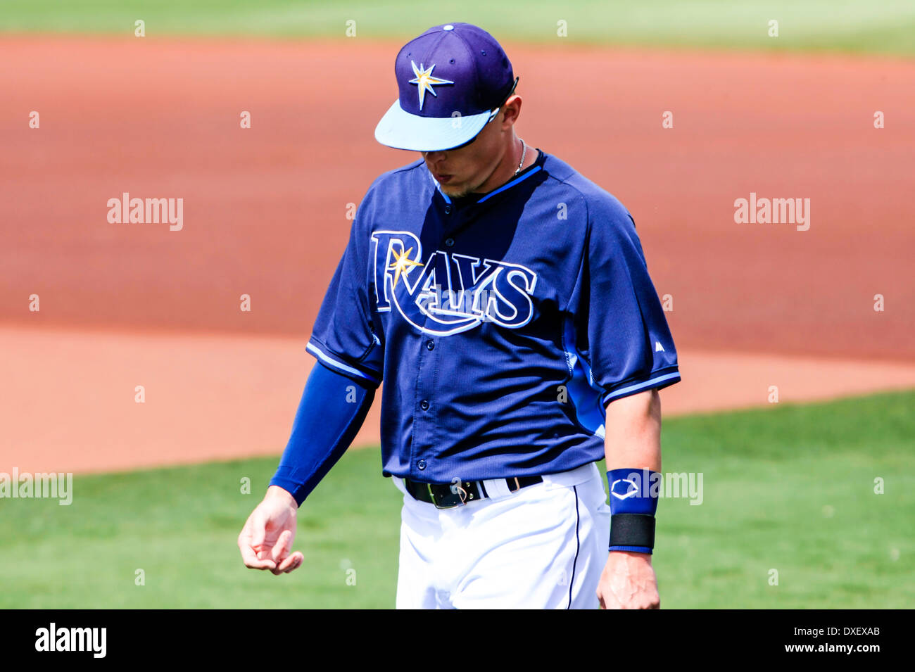 Tampa bay rays baseball hi-res stock photography and images - Alamy