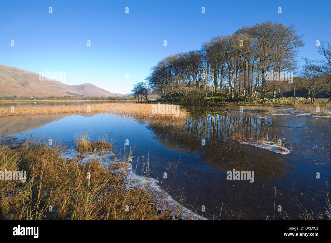 Peaceful reflections on loch awe hi-res stock photography and images ...