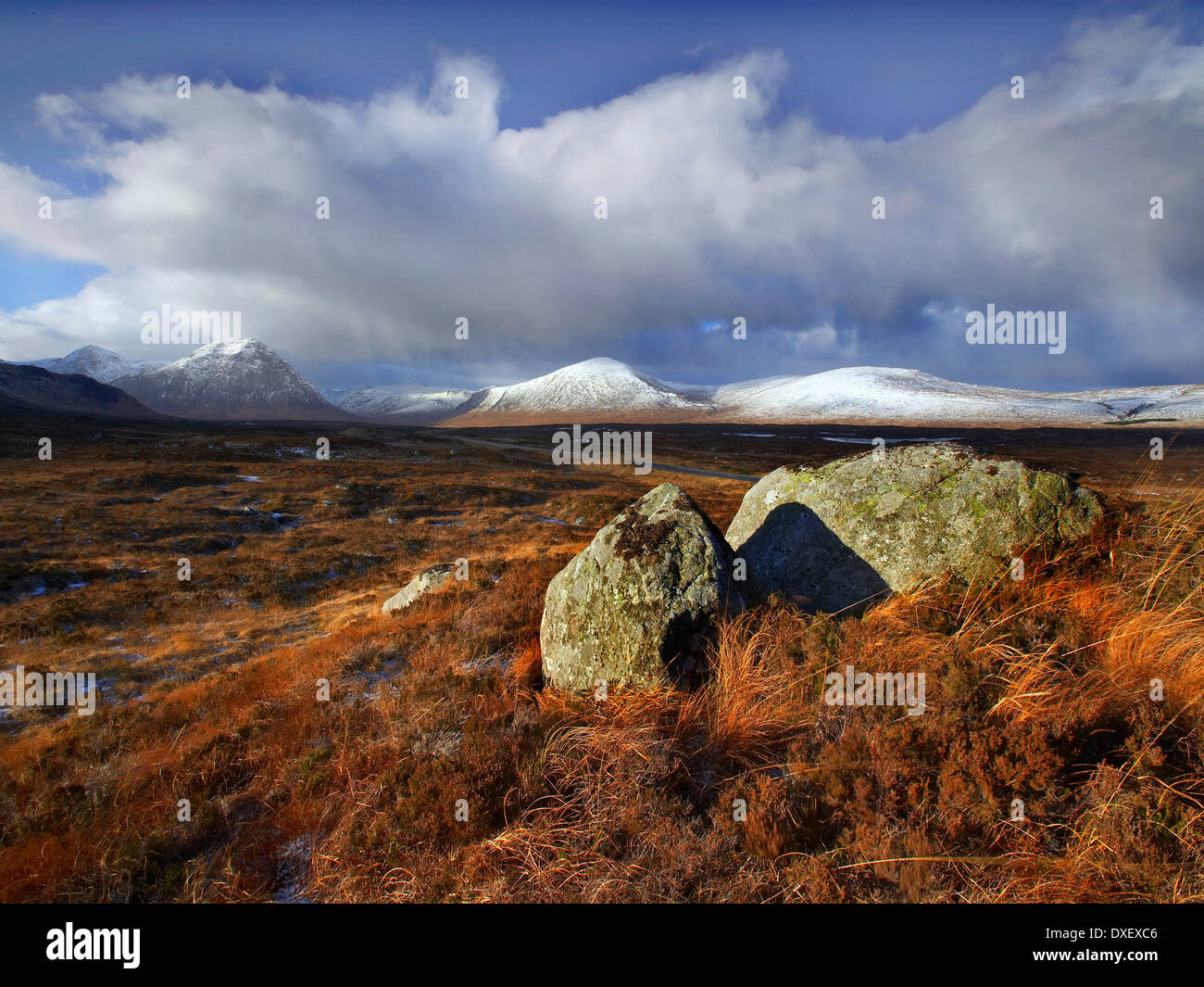 Rannoch mhor hi-res stock photography and images - Alamy