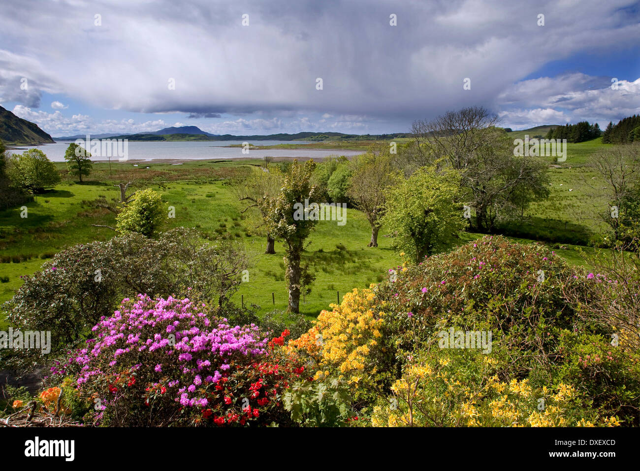 Scarba island hi-res stock photography and images - Alamy