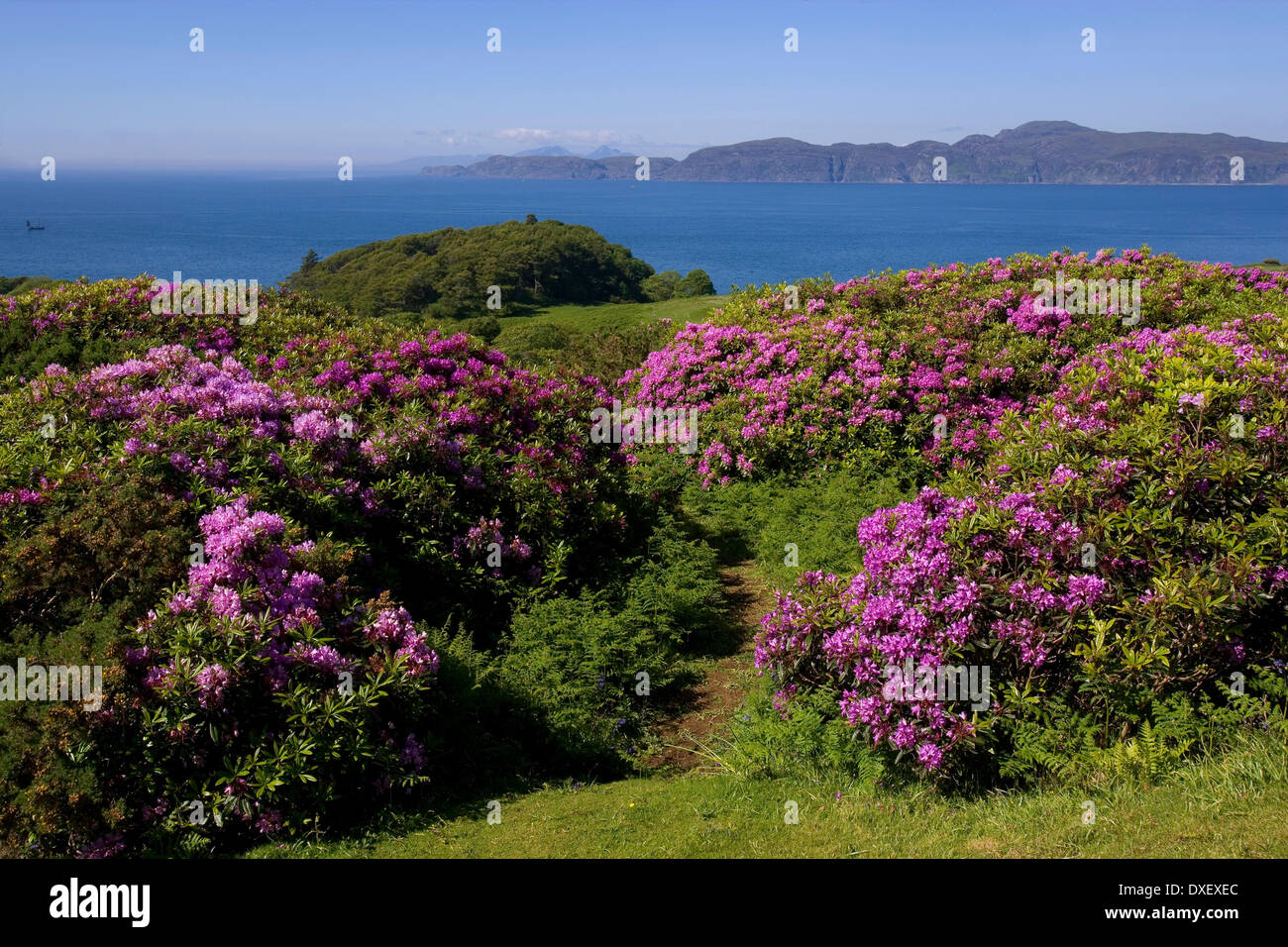 Glengorm castle hi-res stock photography and images - Alamy