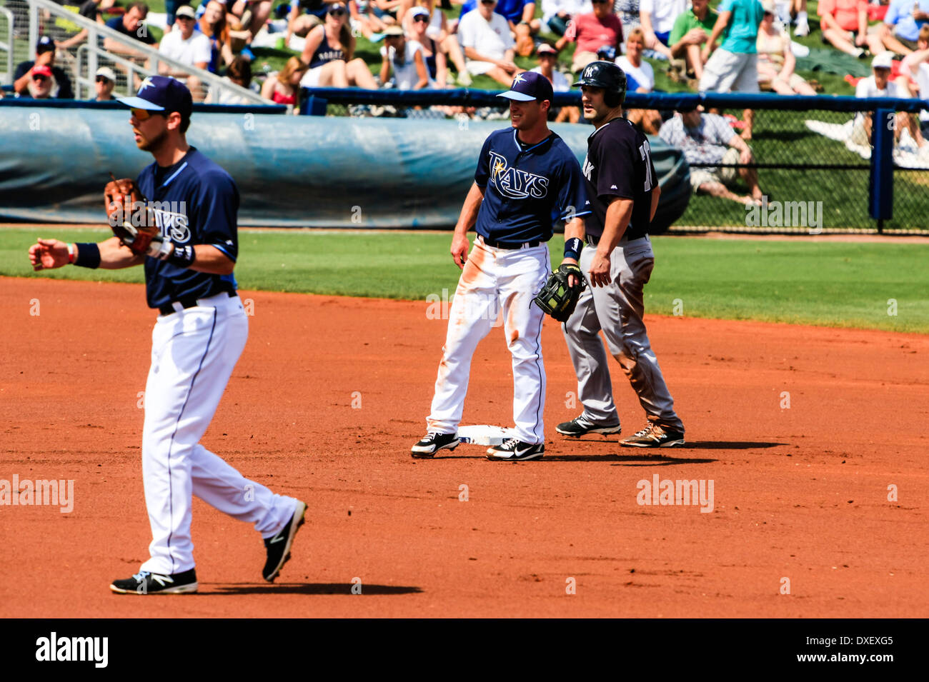 Tampa bay rays hi-res stock photography and images - Alamy
