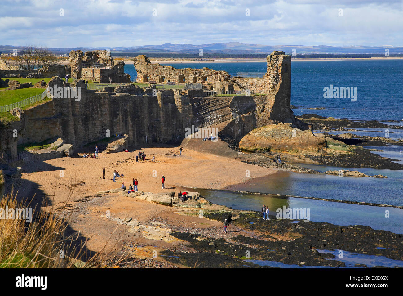 St Andrews castle and sandy bay in historic St Andrews,fife Stock Photo ...