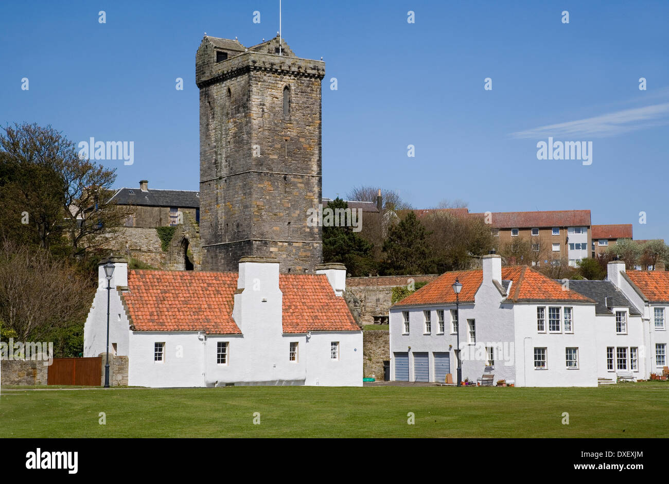 St serfs tower in dysart castle hi-res stock photography and images - Alamy
