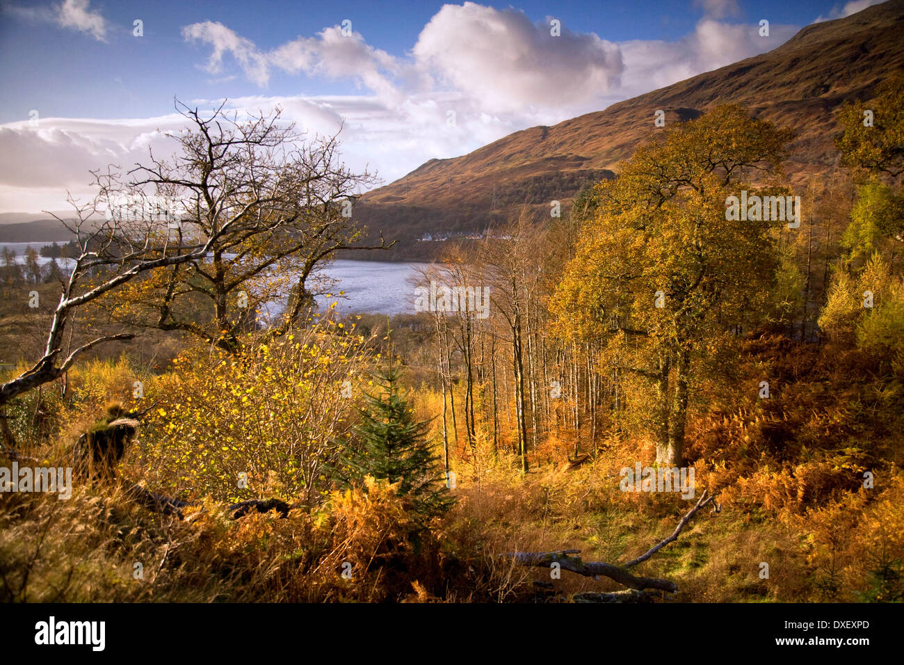 Autumn on Loch Aweside Stock Photo - Alamy