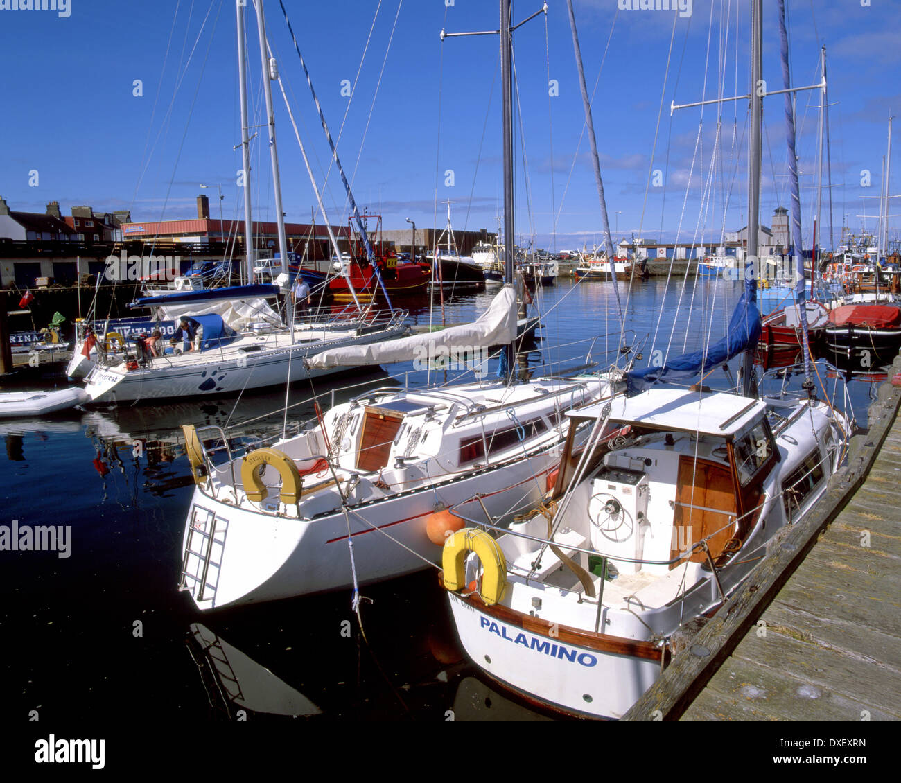 girvan harbour south ayrshire Stock Photo - Alamy