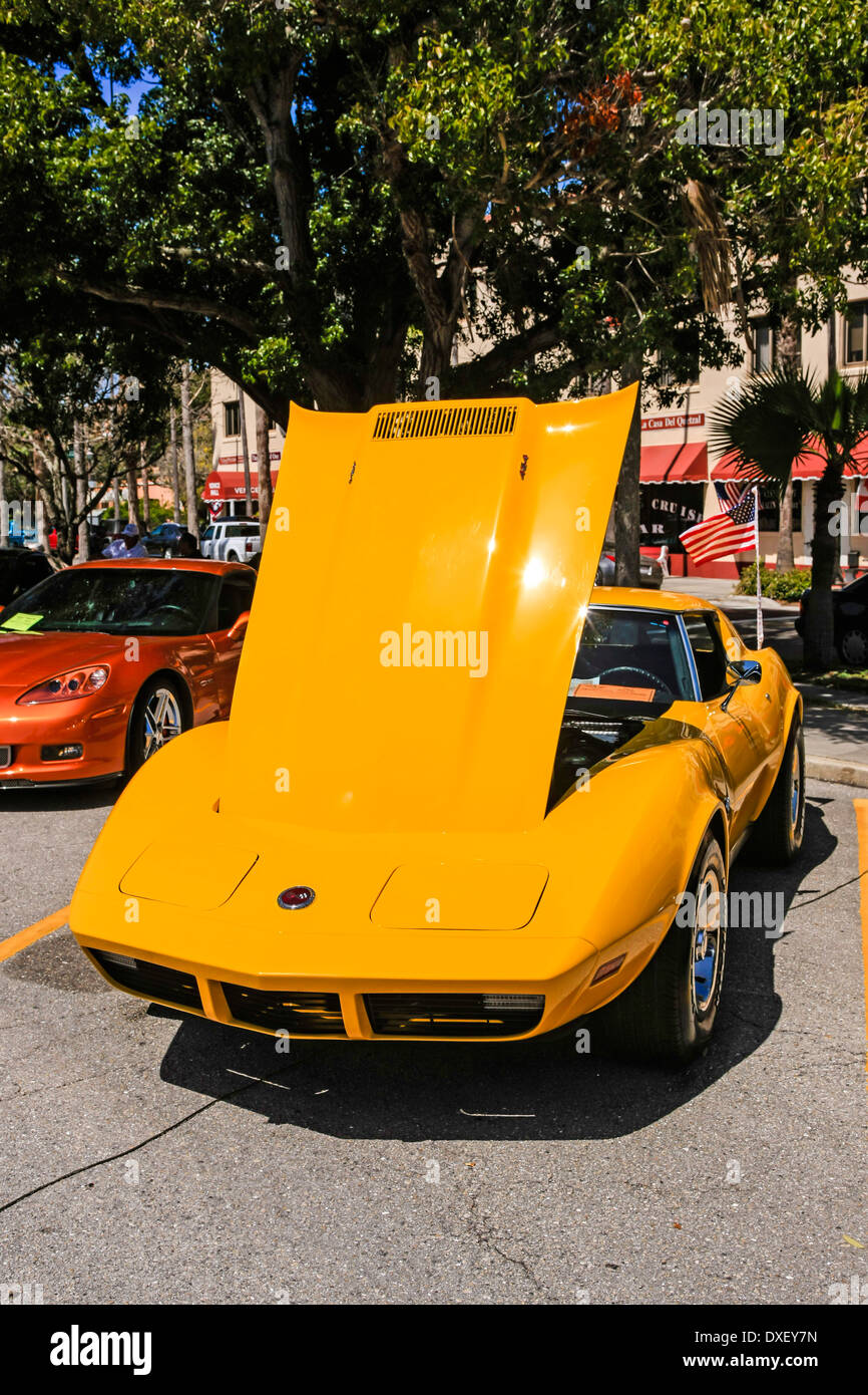 Venice Florida Chevy Corvette Owners Day Stock Photo - Alamy