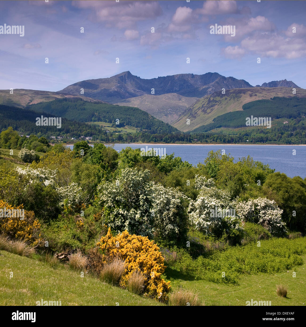 Spring view across Brodick bay towards Goatfell, Isle of Arran Stock ...
