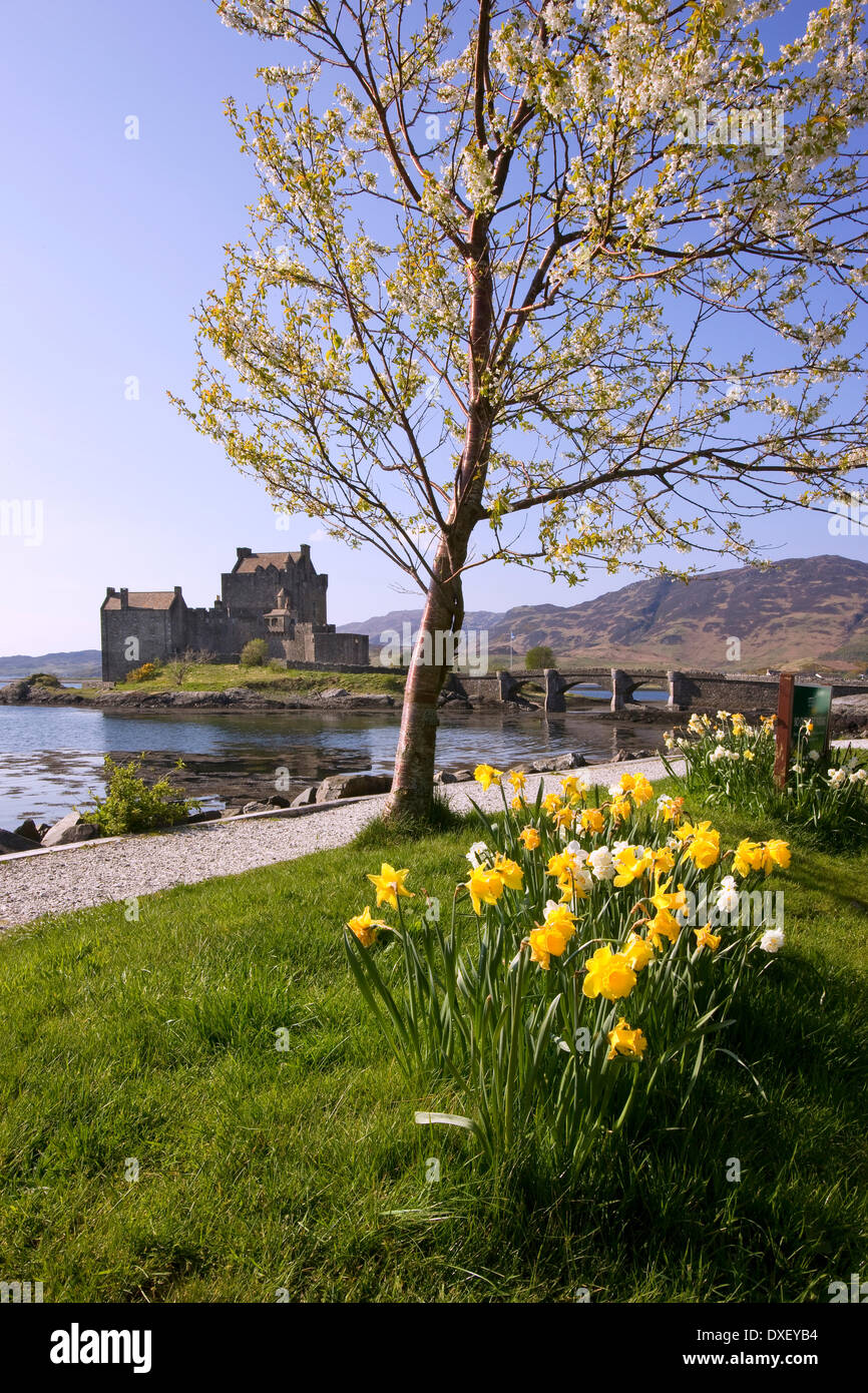 Duic hi-res stock photography and images - Alamy