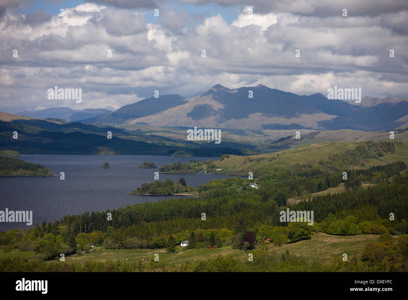 Ben Cruachan, Loch Awe, Argyll Stock Photo - Alamy