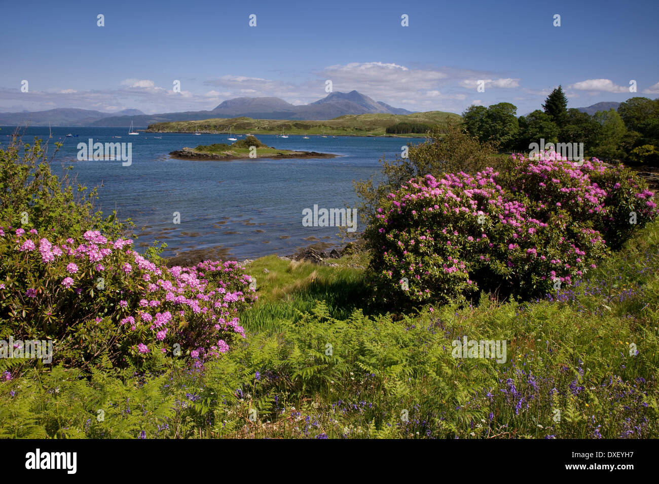 Isle of oransay hi-res stock photography and images - Alamy