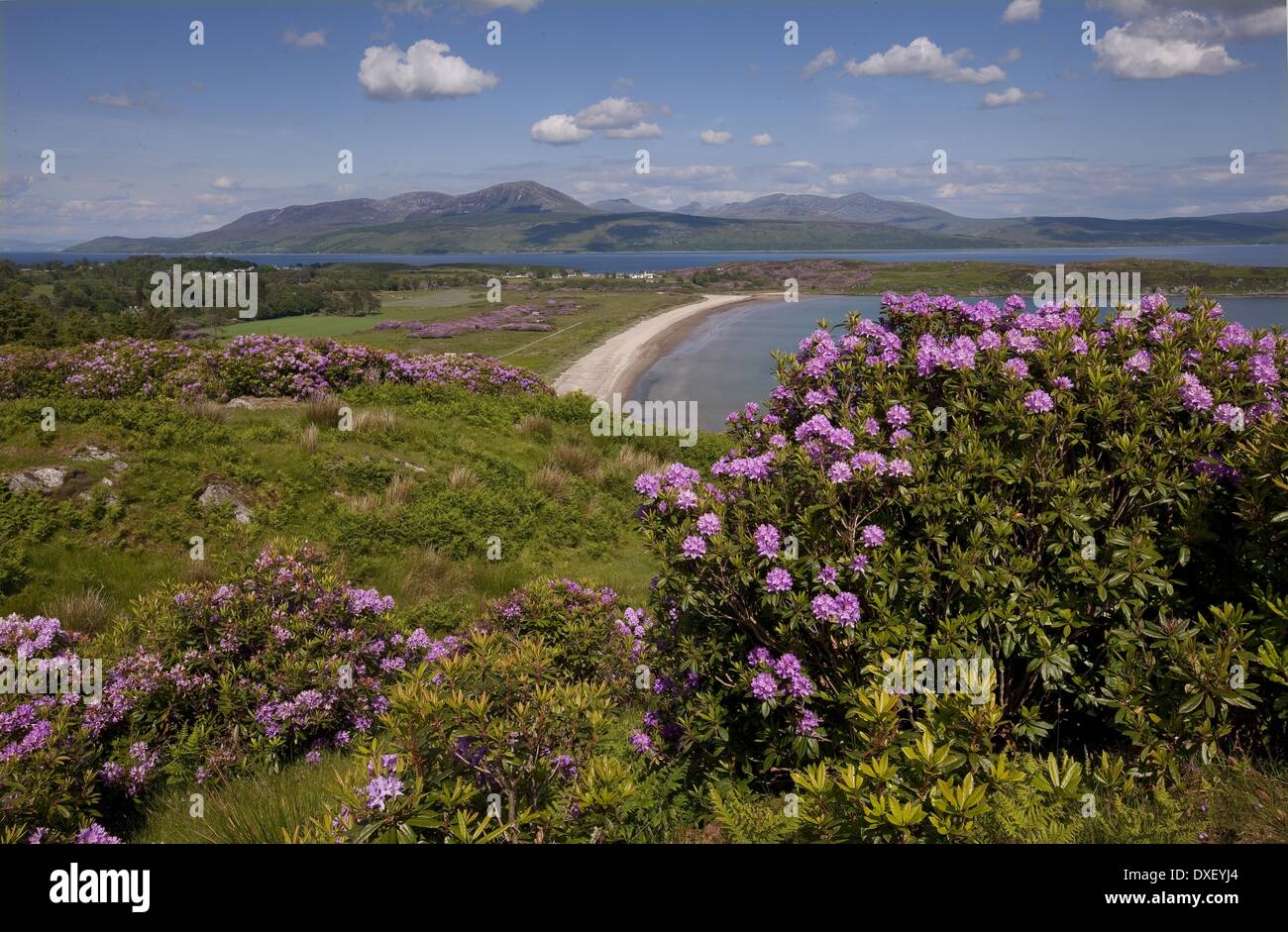 Carradle hi-res stock photography and images - Alamy