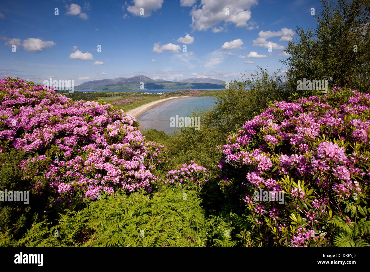 Carradale Coast High Resolution Stock Photography and Images - Alamy