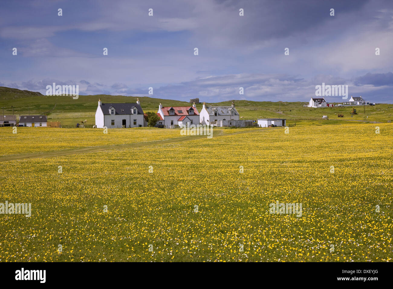 Tiree ferry hi-res stock photography and images - Alamy