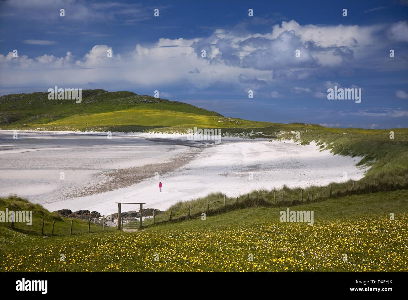 Traigh balephuil bay hi-res stock photography and images - Alamy