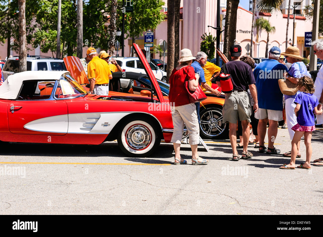 Venice Florida Chevy Corvette Owners Day Stock Photo - Alamy