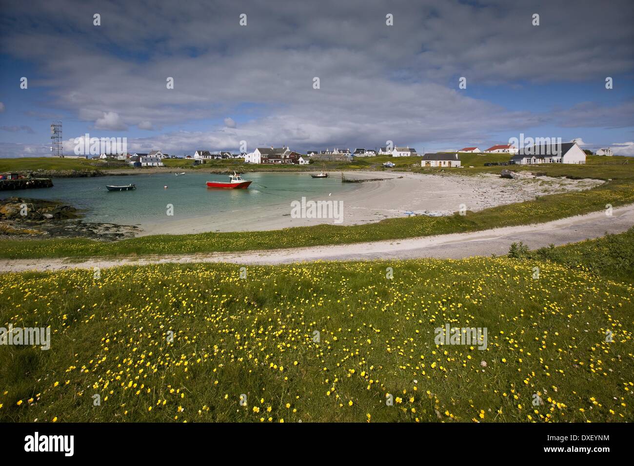 Tiree hi-res stock photography and images - Alamy