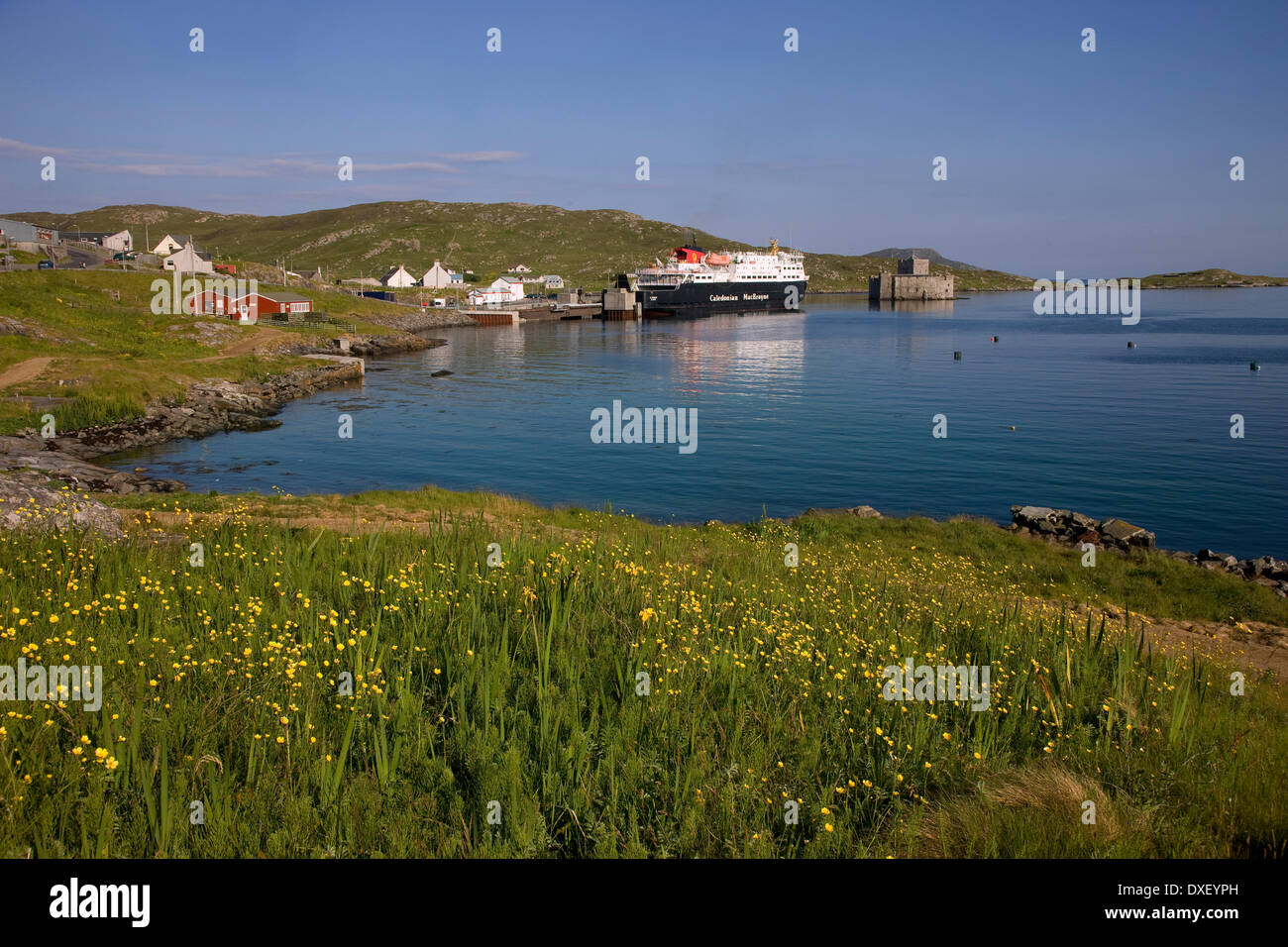 Summer view in Castlebay with Kisimul Castle in view, Outer Hebrides ...