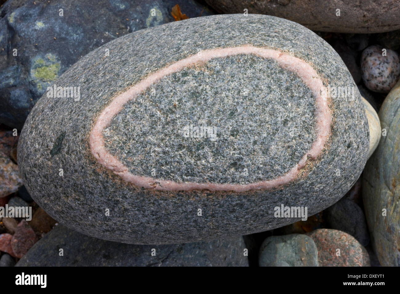 Red circle hi-res stock photography and images - Alamy