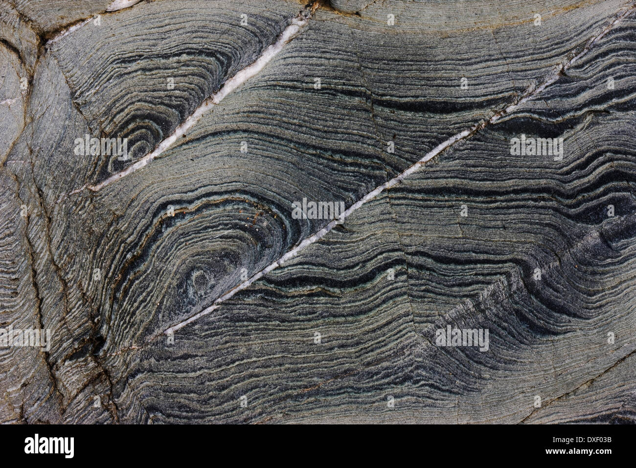 Phyllite hi-res stock photography and images - Alamy