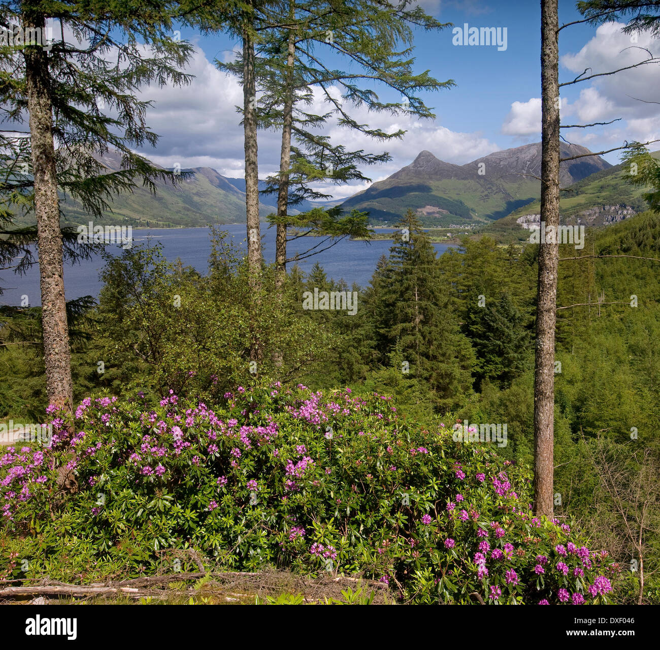 Ballachulish slate quarry hi-res stock photography and images - Alamy