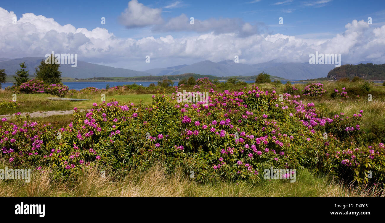 Spring view towards Morvern from the island of Eriska, Argyll Stock ...