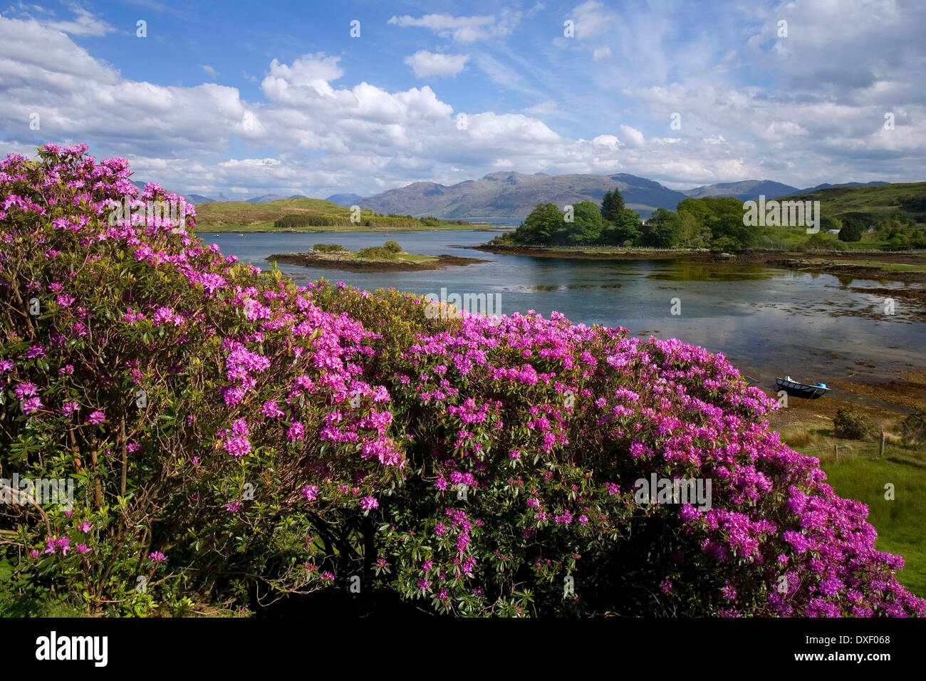 Island of ornsay hi-res stock photography and images - Alamy