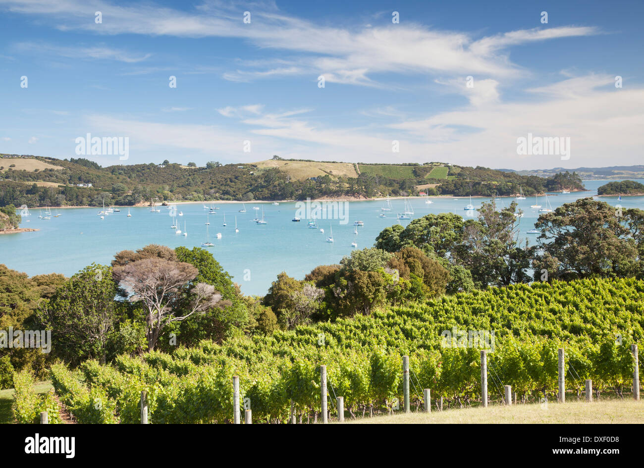 Putiki bay hi-res stock photography and images - Alamy